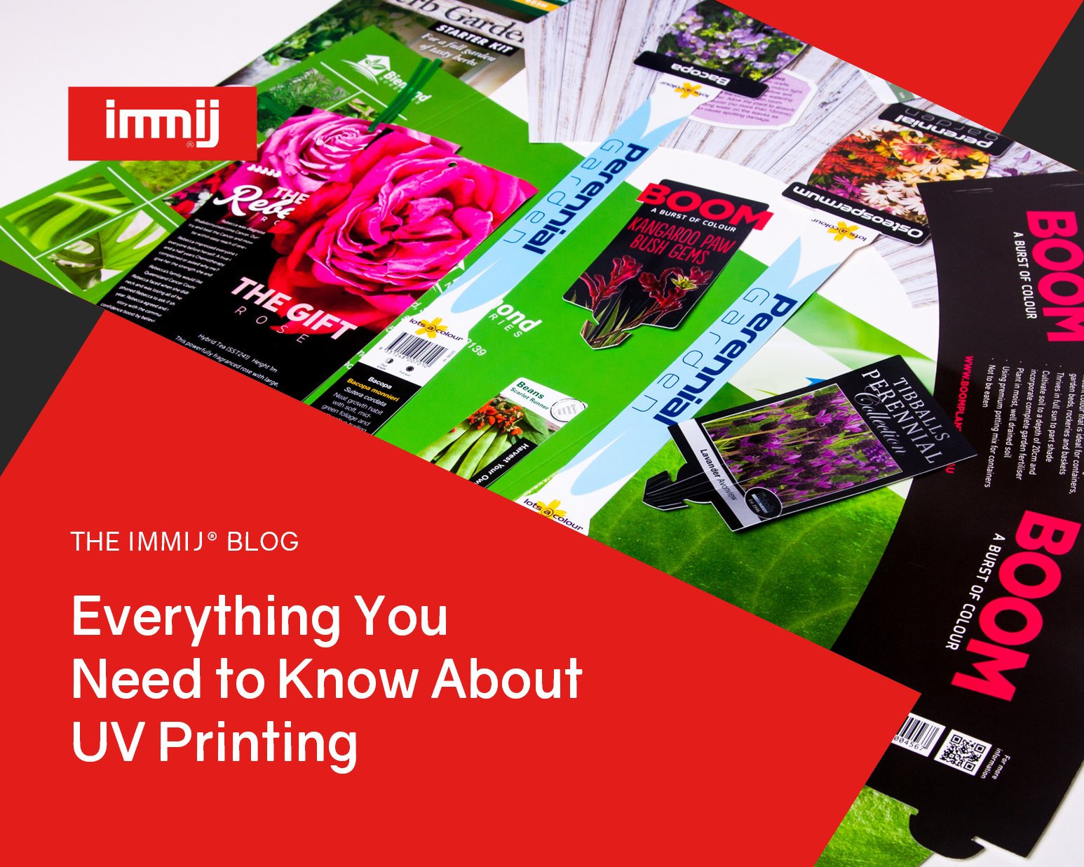 Everything you need to know about UV Printing - Immij