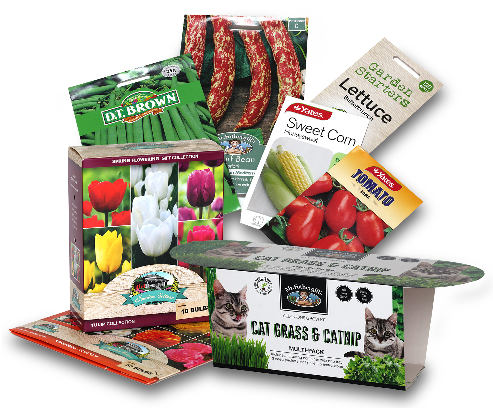 Packaging - Immij - Printing & Packaging